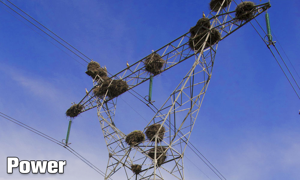 Birdzoff Bird Control